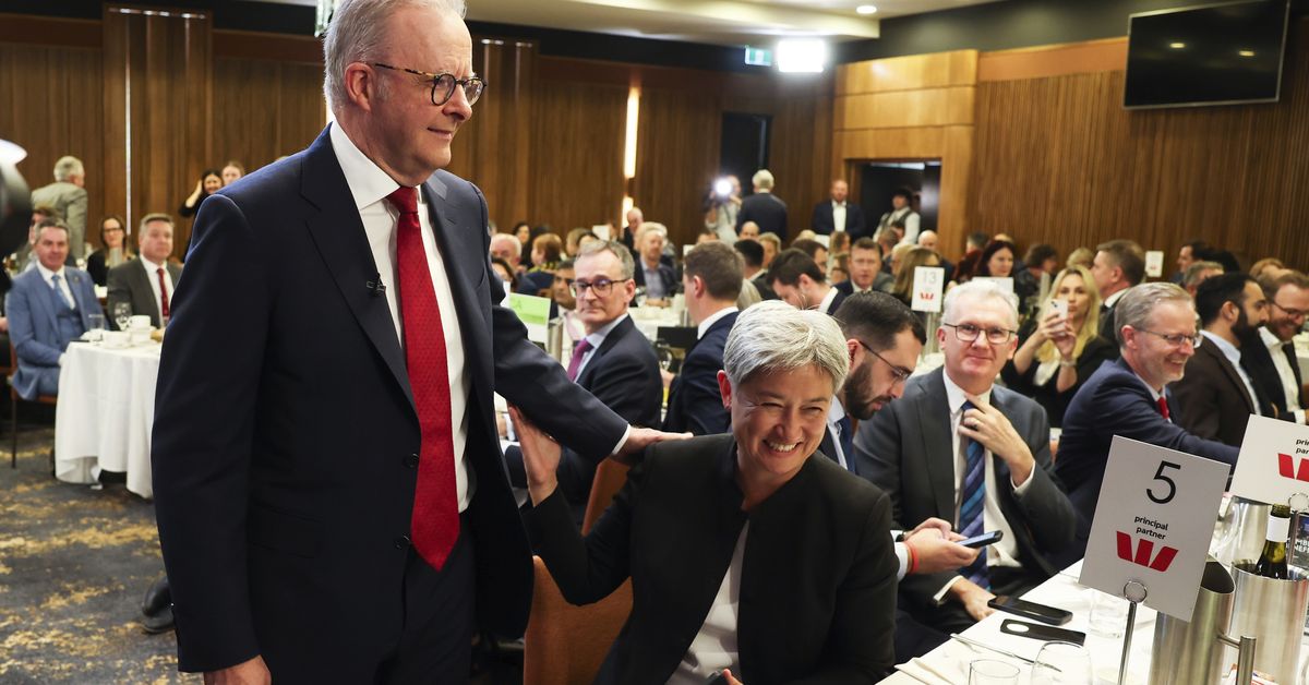 Federal Election 2025 results: Senate make-up to favour Labor with at ...