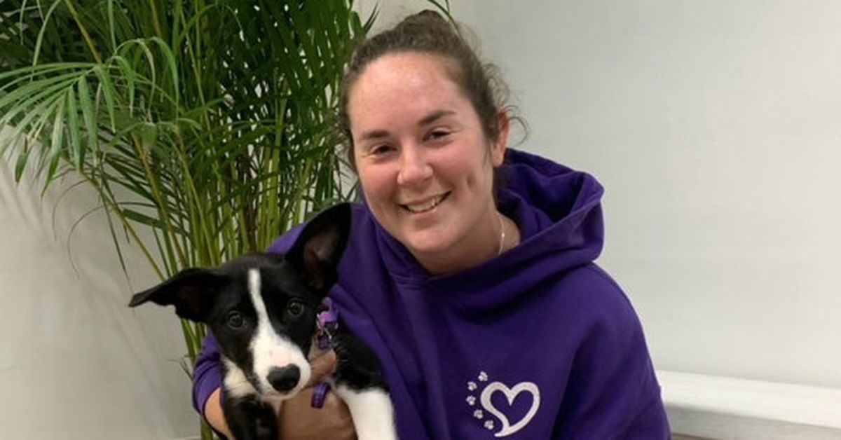 Qantas to improve assistance dog processes after discrimination case