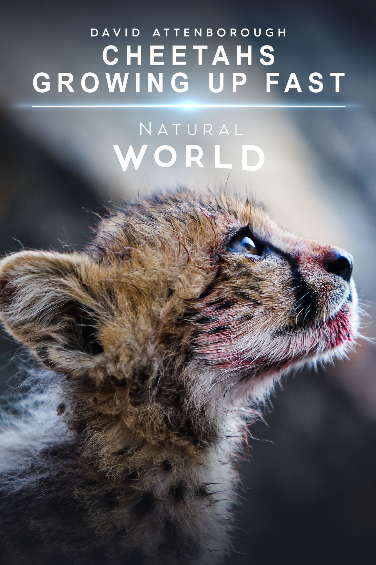 9Now | Stream Channel 9 live and on demand for free