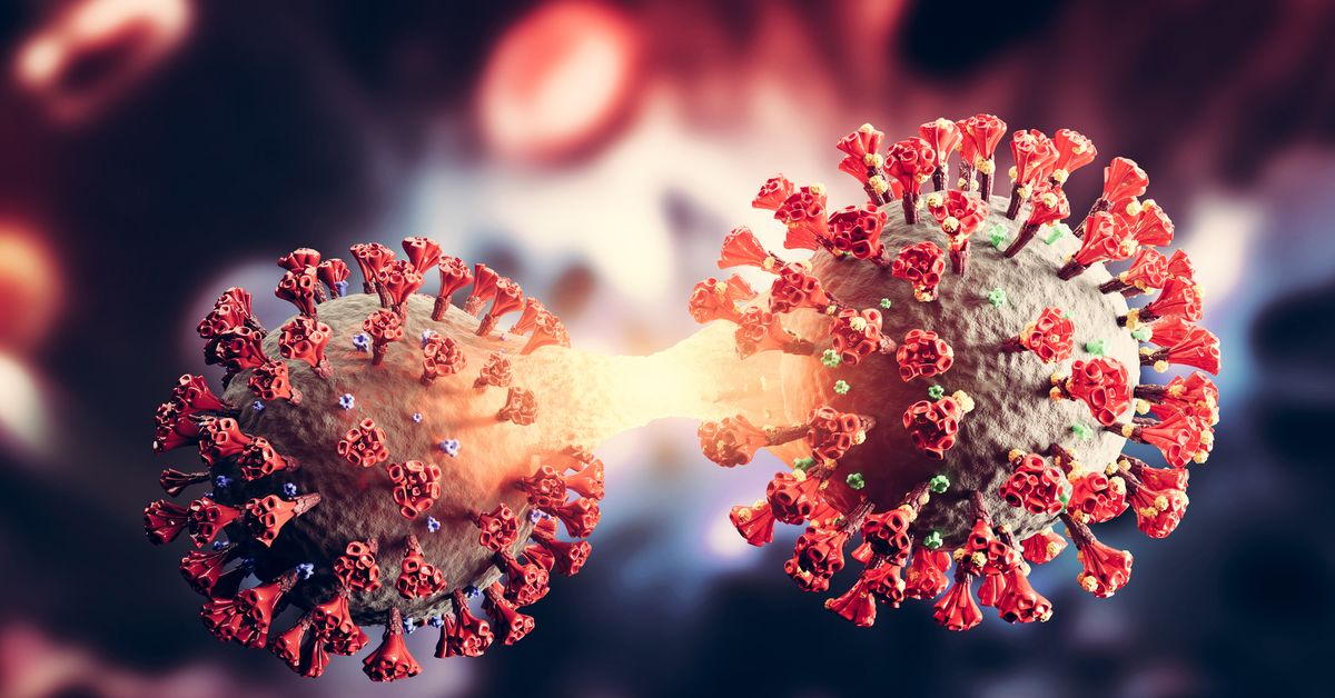 COVID-19: What we know and still don't know, five years since pandemic ...
