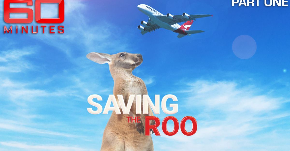 Saving the Roo