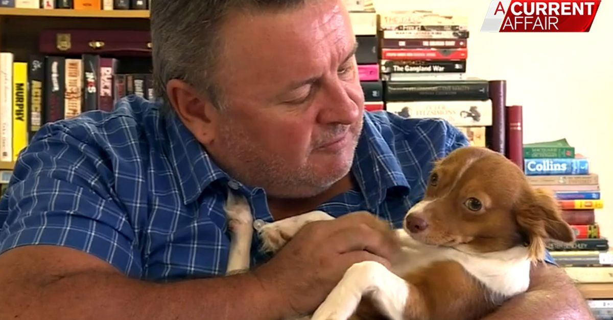 One legged man horrified after Queensland vet mistakenly amputates dog ...
