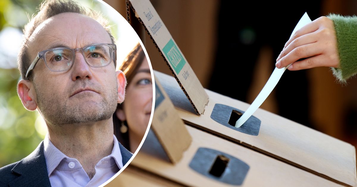 Federal Election 2025: All the seats are still too close to call ...