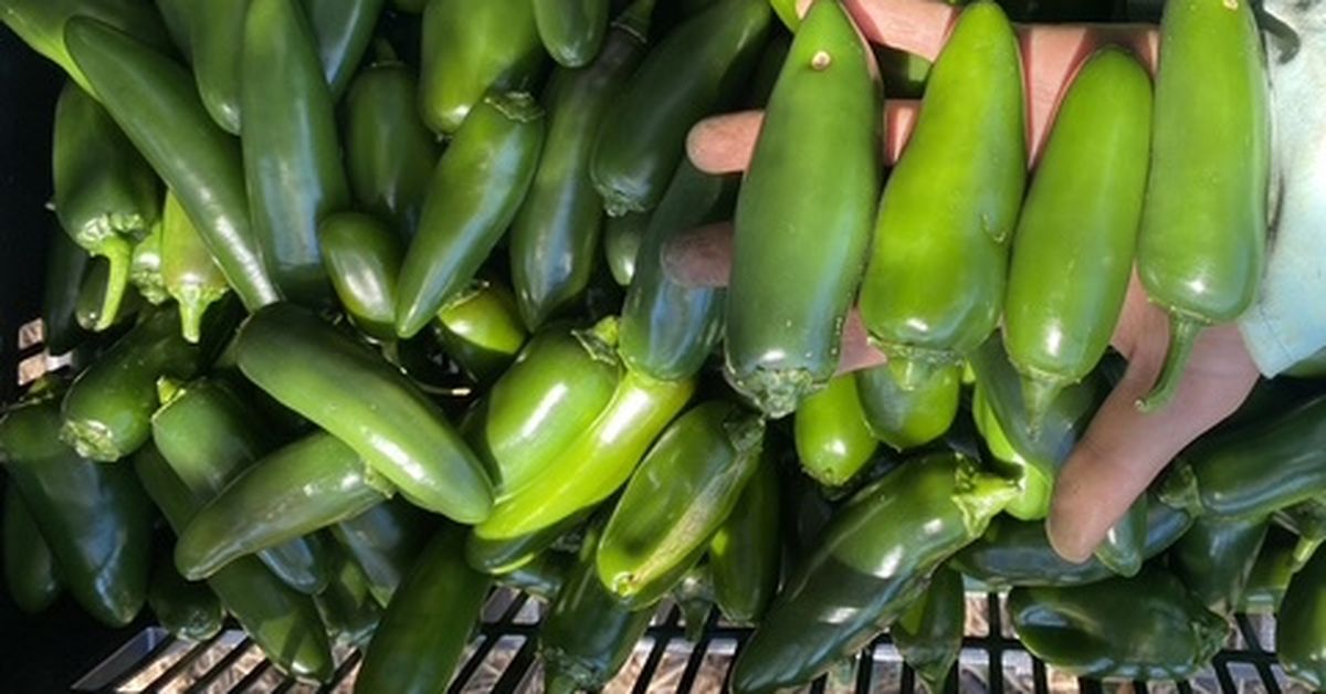 Best Chilli Product in Australia 2025: Aussie-made chilli product takes ...