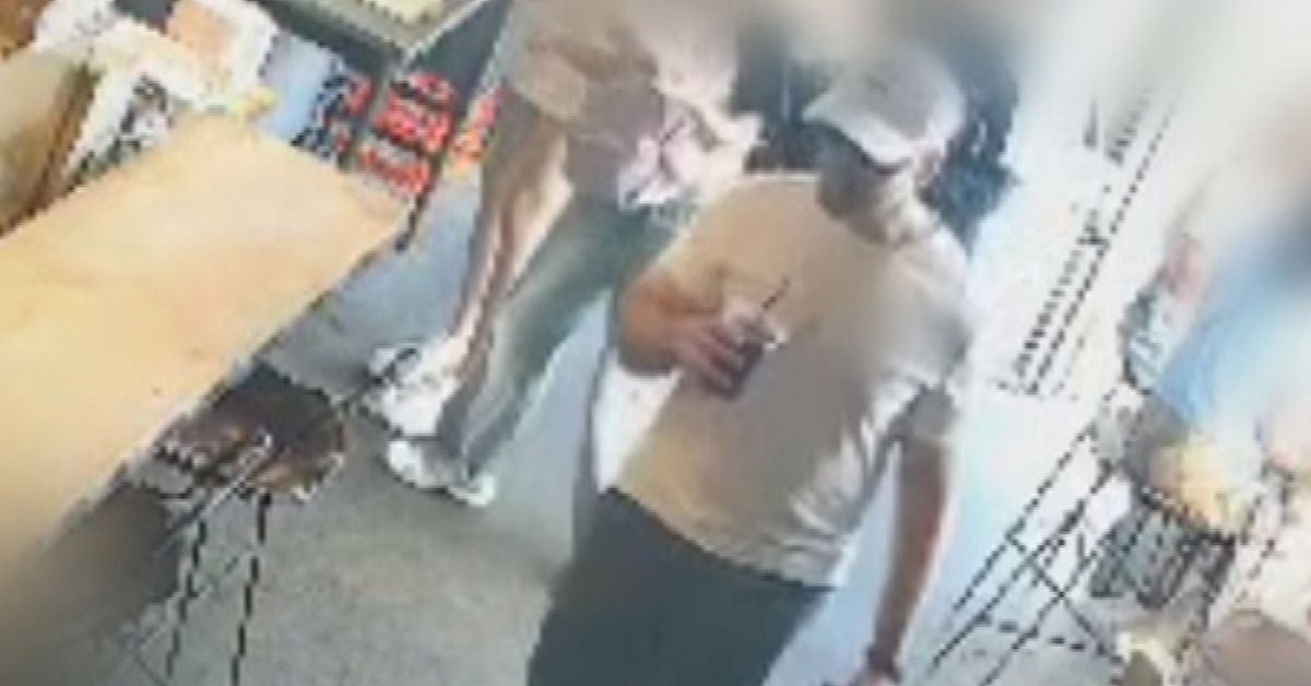 Cairo Takeaway: Daily Telegraph's 'undercover' stunt at Sydney cafe ...