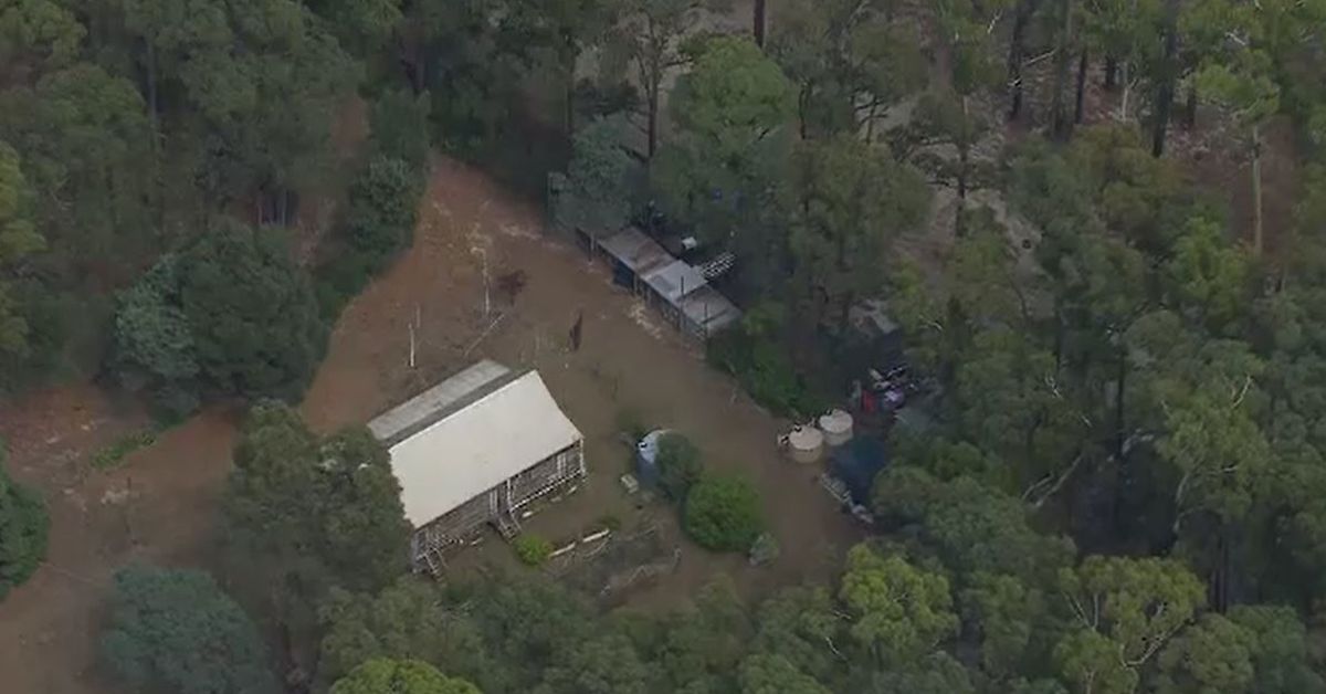 Colin Bainbridge death: Judge rejects claims killer was under threat ...