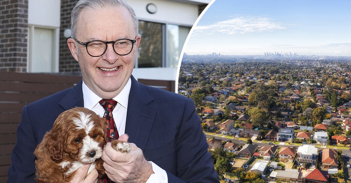 Labor 5 per cent home deposit scheme: How does it work, when will it ...