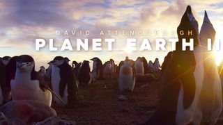 Australian TV Guide - All TV Show times, All Channels - The FIX