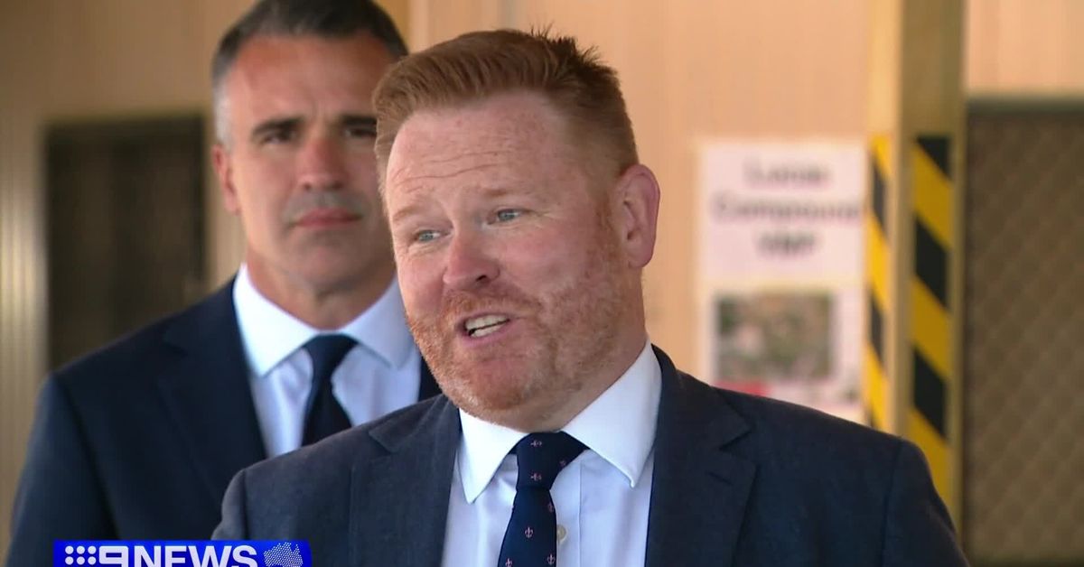 South Australia politics: Labor unveils by-election candidate as former ...