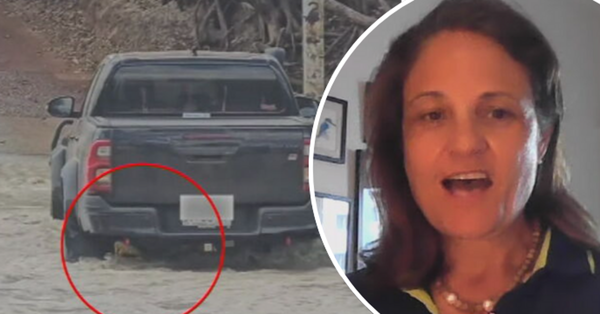 Heartstopping footage shows car drive over crocodile