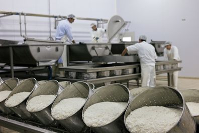 Feta cheese shortage: How Australia is being impacted by global feta ...