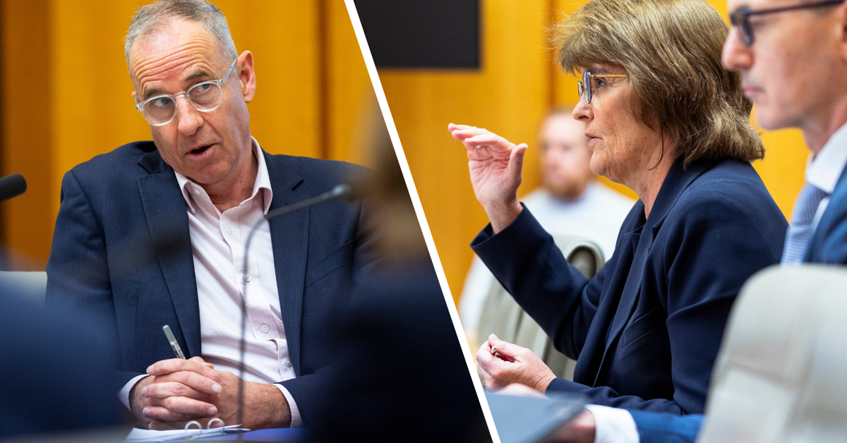 RBA boss Michele Bullock says rate cuts didn't cause housing crisis in ...