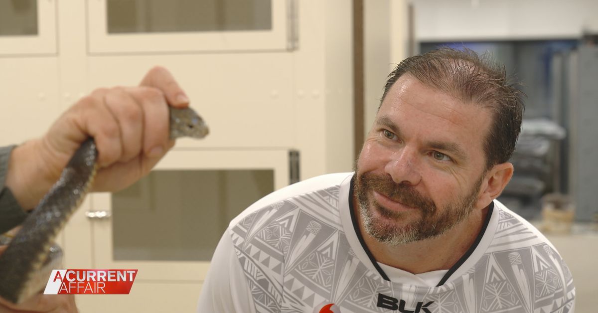 A Current Affair: Snake bite survivor faces the deadly reptile he calls ...