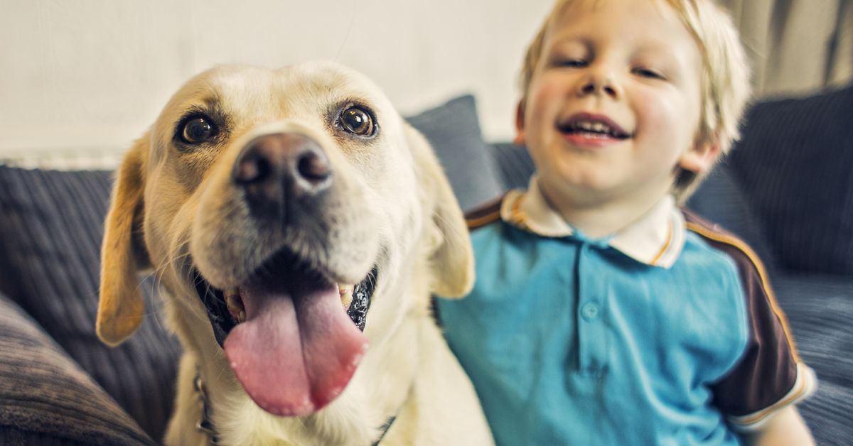 Best dog for kids: What you need to know about choosing a dog for ...