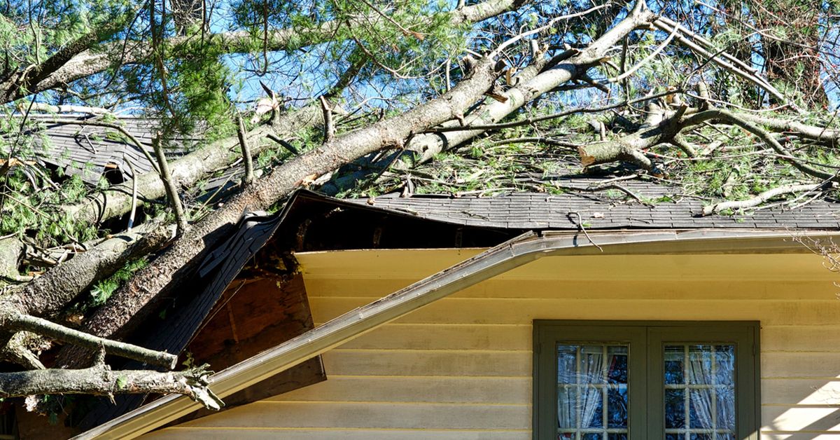 How to storm-proof your home: Expert tips for protecting your house ...