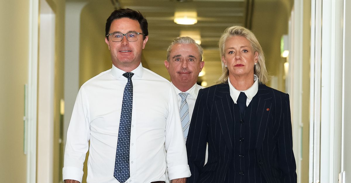 Matt Canavan's leadership bid unsuccessful as Nationals re-elect David ...