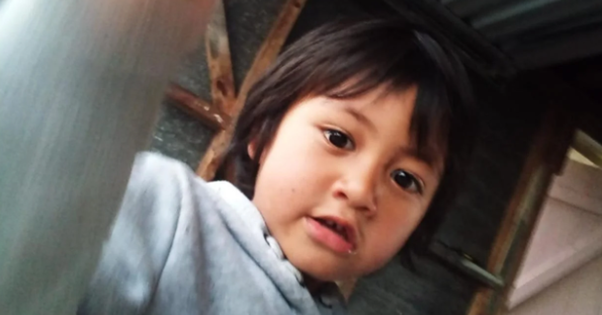 Hamilton murder: Police investigating murder of eight-year-old in New ...