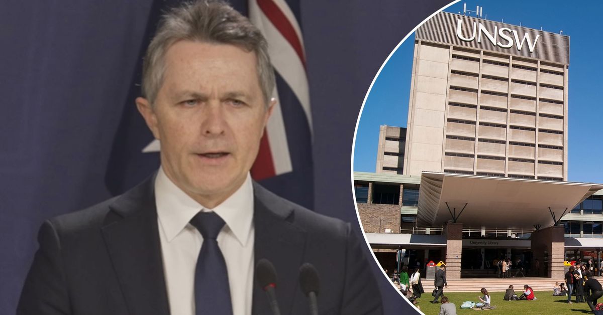 New international student arrivals in Australia to be capped at 270,000 ...