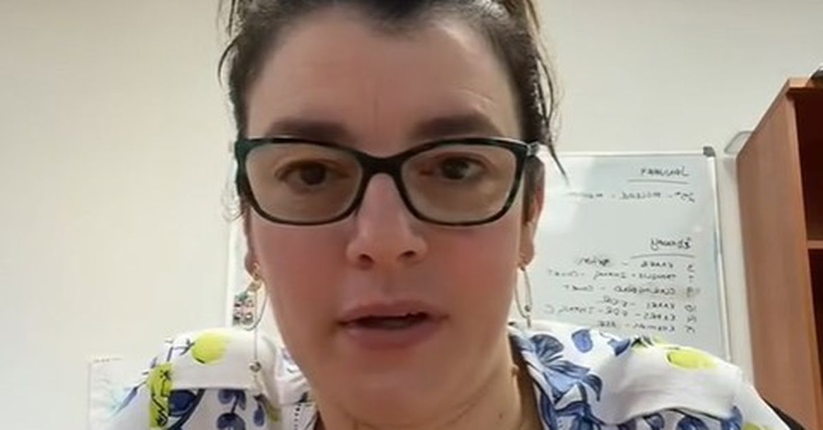 How Fidan went from Sydney lawyer and mum to TikTok celebrity ...