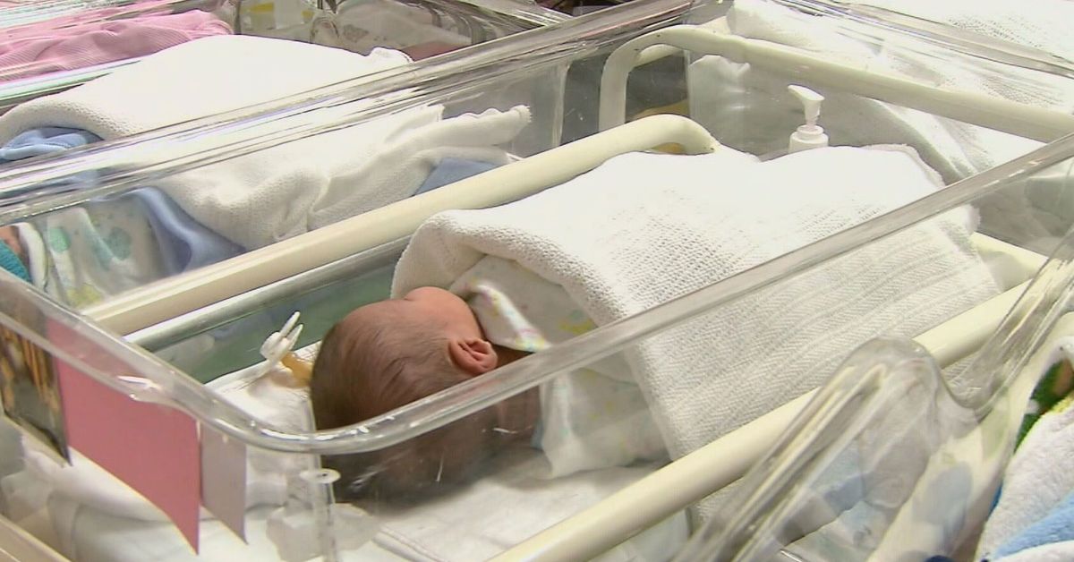 WA's baby drought hits 17-year low as cost-of-living crisis bites