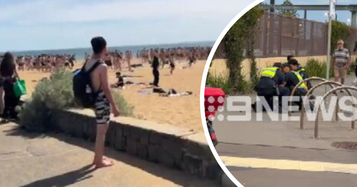 Teens brawl on beach for second day, while knives seized after fight in ...