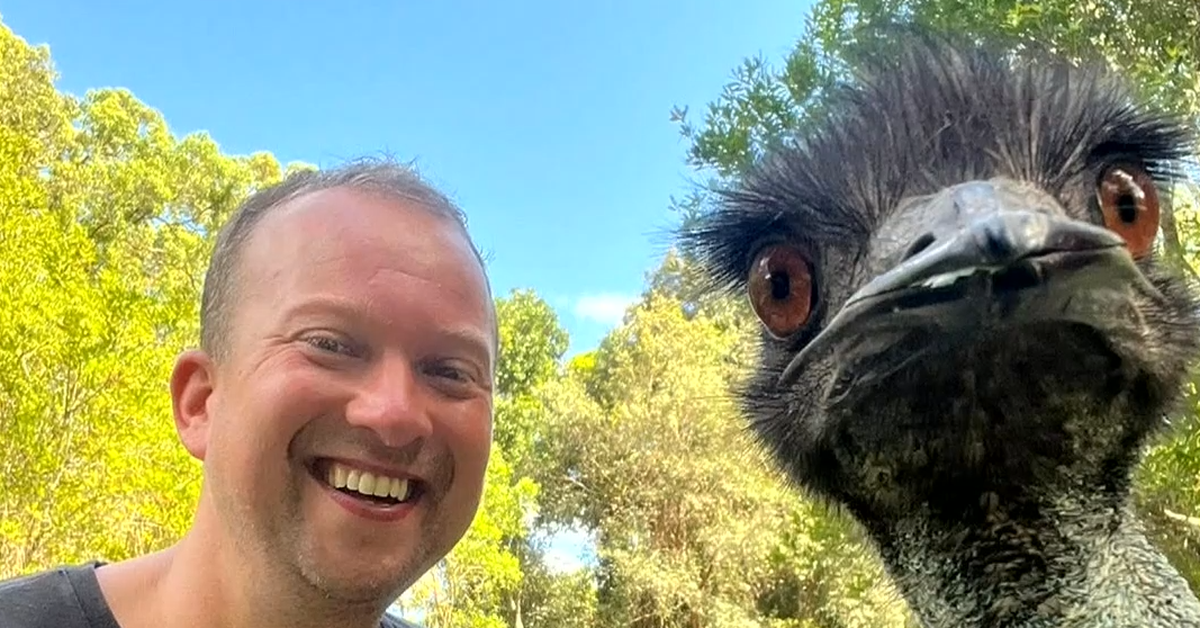 A Current Affair: Why a Sunshine Coast rescue emu has feathers flying