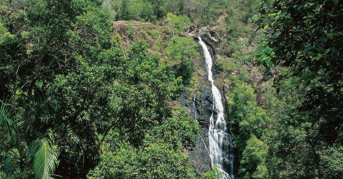 Mapleton Falls Woman dies after falling 80 metres down Queensland waterfall