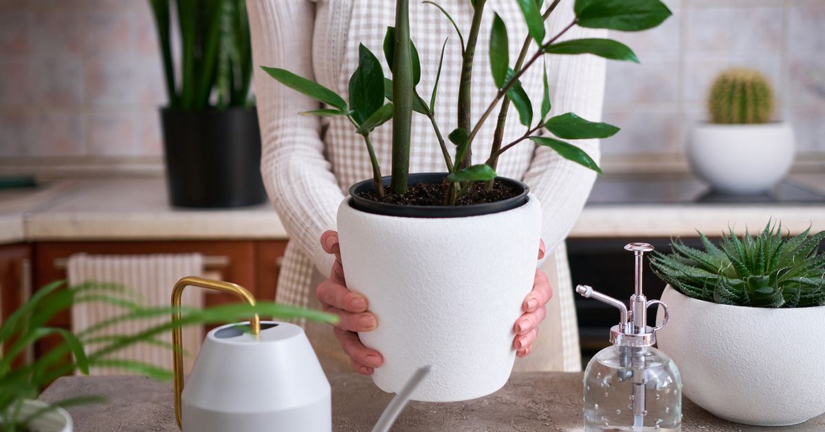 Lovetami porn once she arrived, she met me with a huge