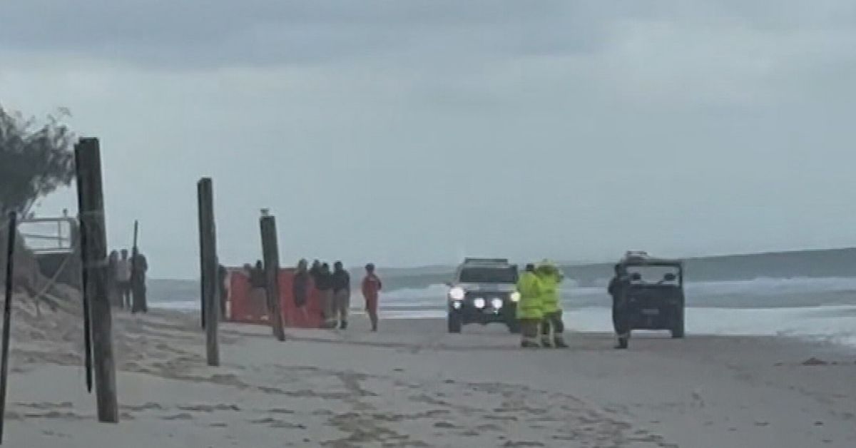 Bribie Island shark attack: Teenage girl dead after mauling at Woorim ...