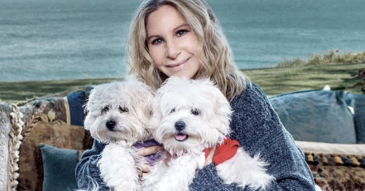 Pet cloning: What is pet cloning and how much does it cost? | Explainer ...