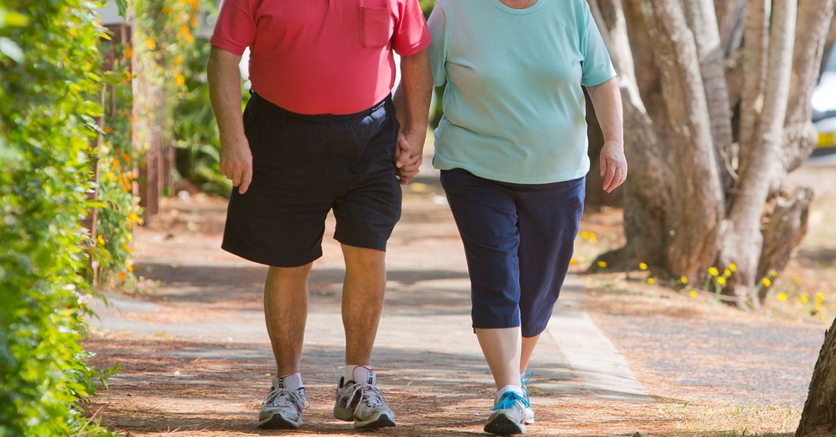 How many Australians are overweight or obese? - 9Coach