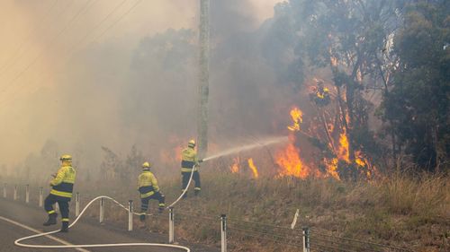 NSW bushfires update: Firefighter, 59, killed by falling tree while ...