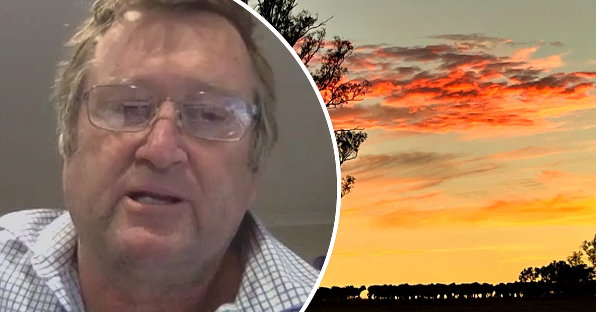 'Despair': Farmer's plea as drinking water runs out in drought