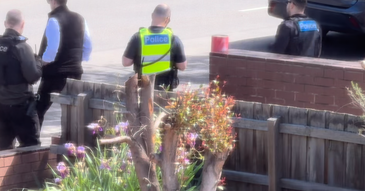 Albion: Man arrested after allegedly pointing imitation gun at people ...