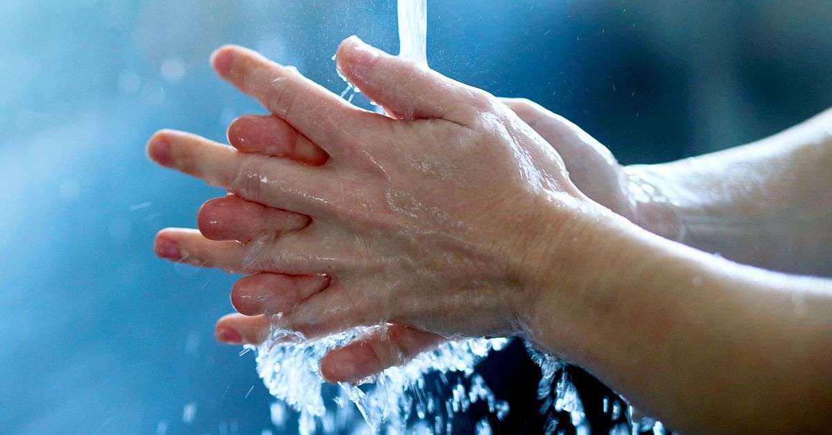 You're not washing your hands correctly, study warns - 9Coach