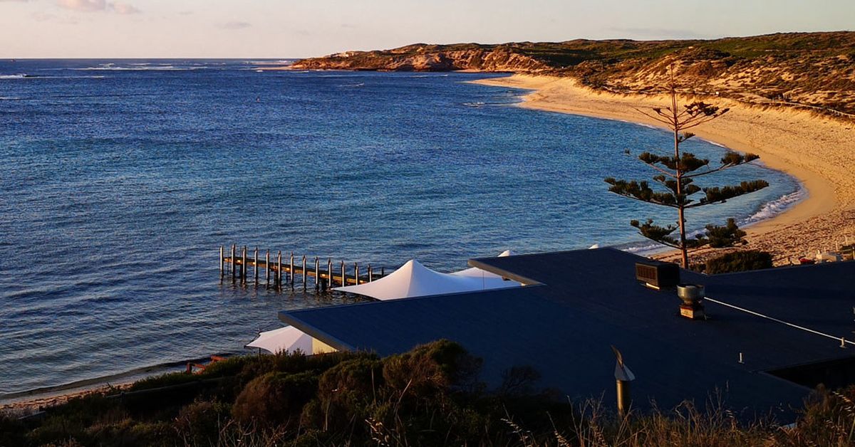 Great white shark bumps diver off popular WA beach