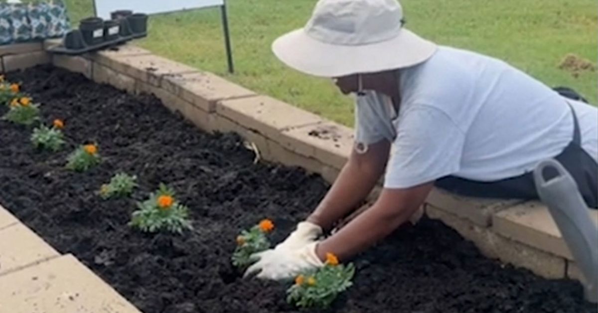 How to deter plant pests: Gardener's 'first line of defence' against plant pests will also make ...