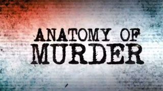 Australian TV Guide - All TV Show times, All Channels - The FIX