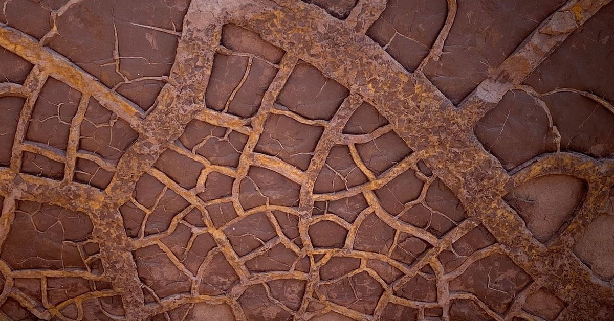 The Great Dying once wiped out 90 per cent of life on Earth. A new ...