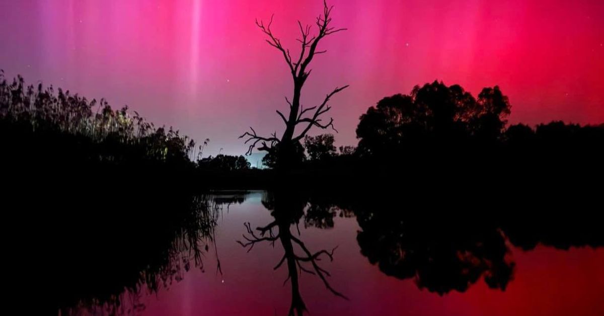 Aurora australis: Dazzling southern lights display lights up Australian ...