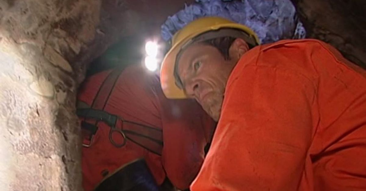 Dirty Jobs: The worlds worst jobs - nine.com.au