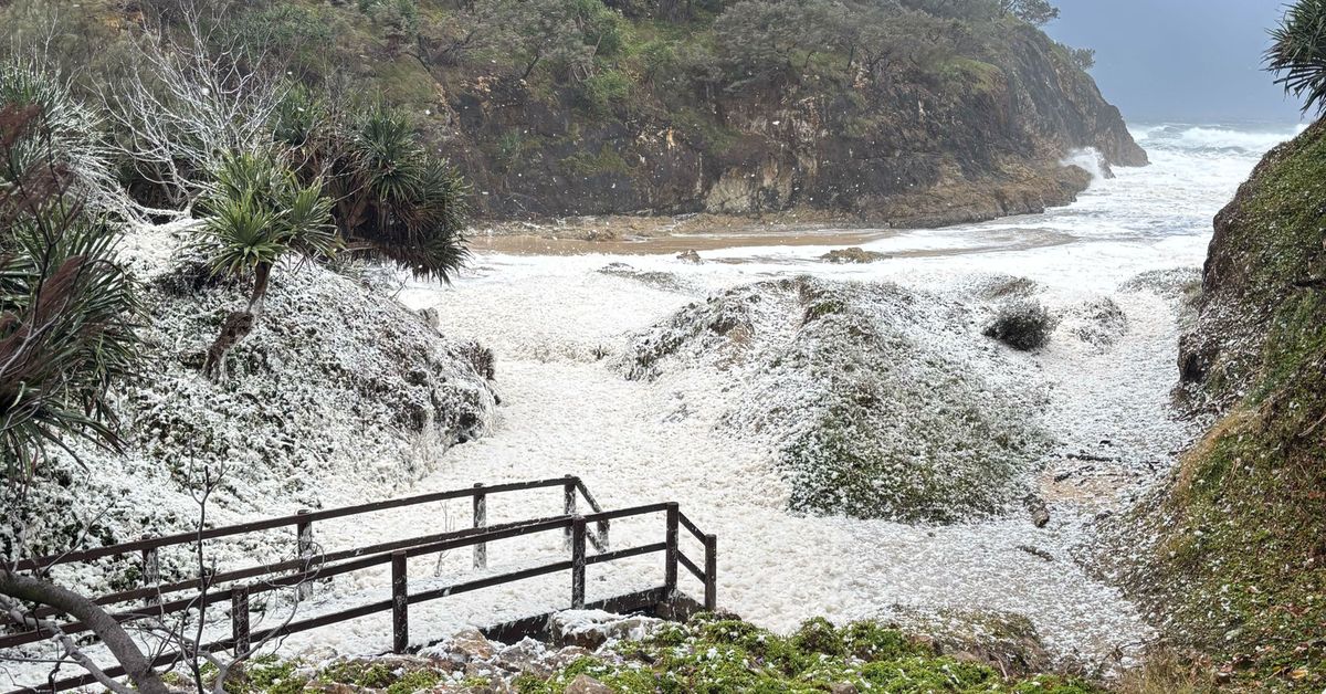 Tropical Cyclone Alfred update: Stradbroke Island locals brace to be ...