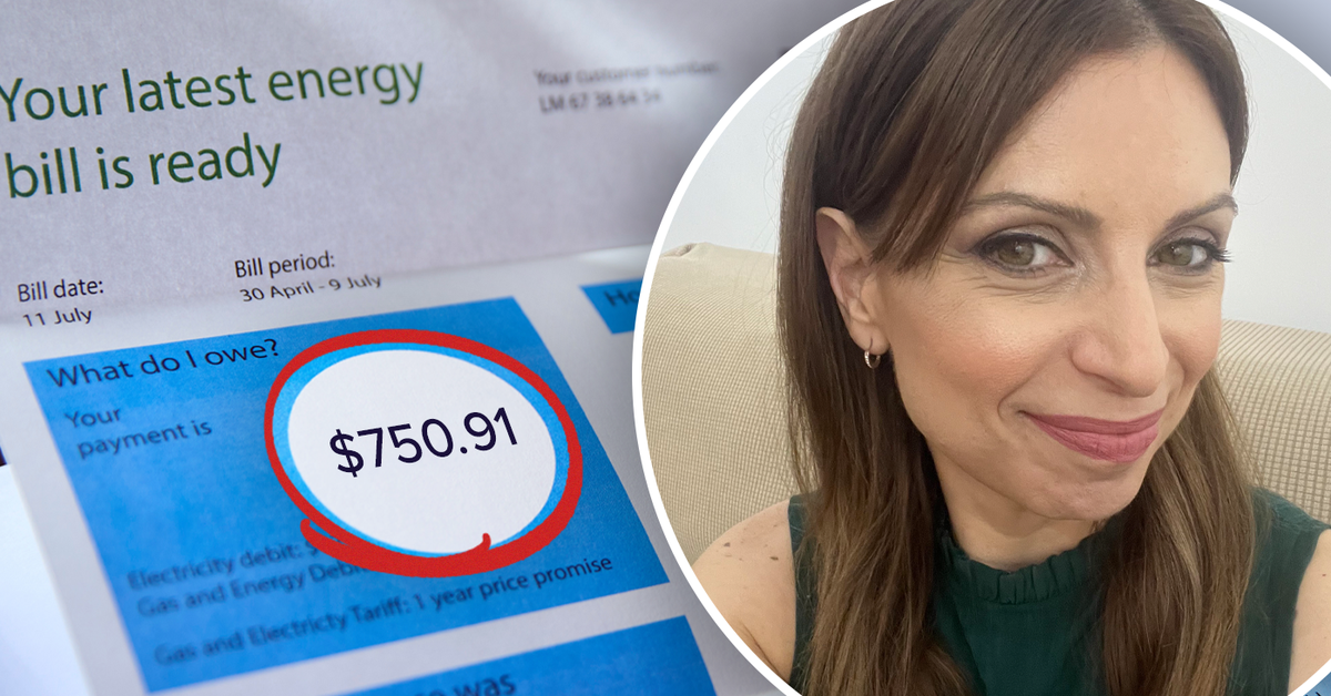 Reducing electricity bills: 'My winter electricity bill was astronomical - but I managed to save ...