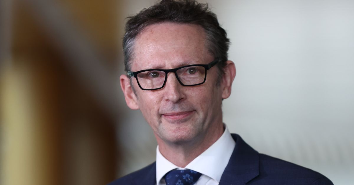 Stephen Jones: Labor MP and assistant treasurer Stephen Jones to quit politics after federal ...