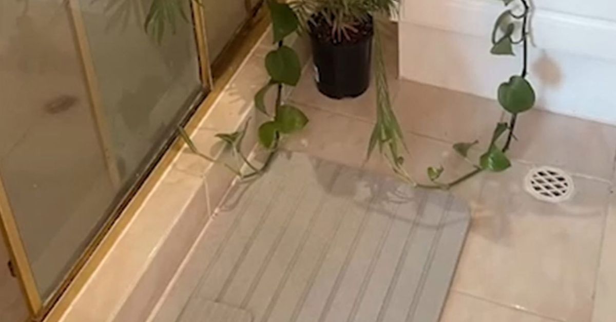 Kmart finds: Shoppers reveal whether Kmart's $15 stone dry bathmat ...