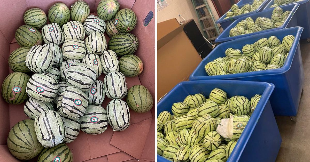 Methamphetamine disguised as watermelons seized at US-Mexico border