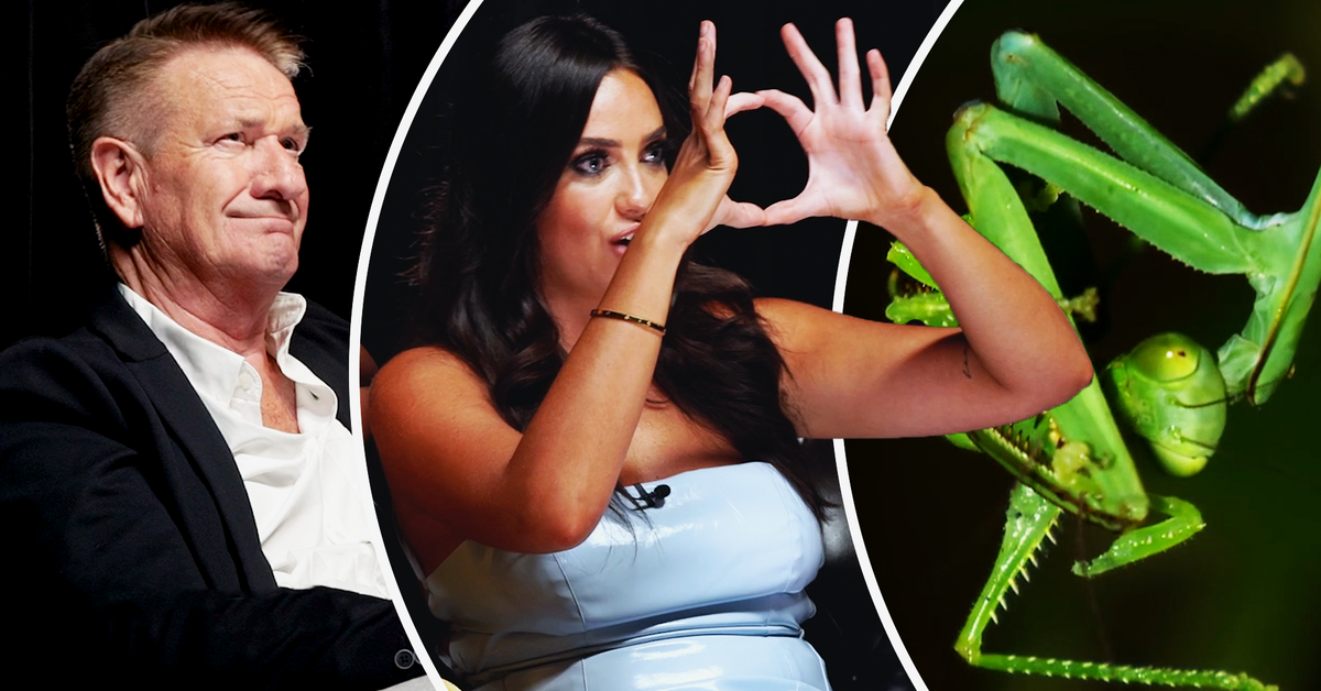 Travel Guides 2024 Exclusive: The Travel Guides reveal their most ...