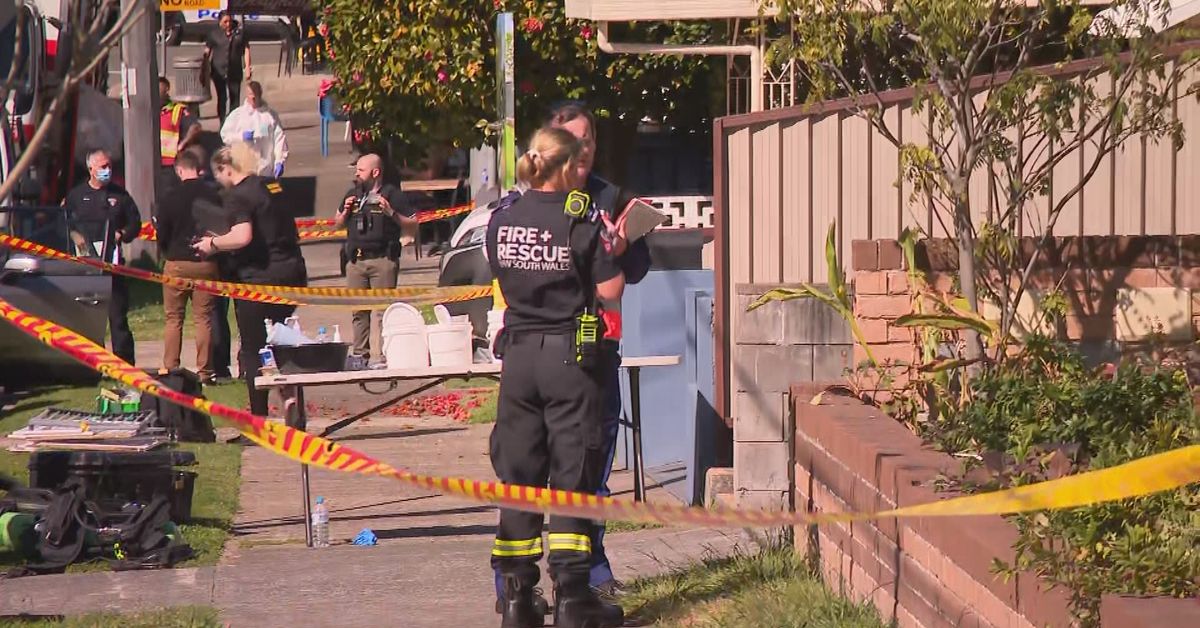 Emmanuel Lidden: 'Science nerd' who sparked border force investigation ...