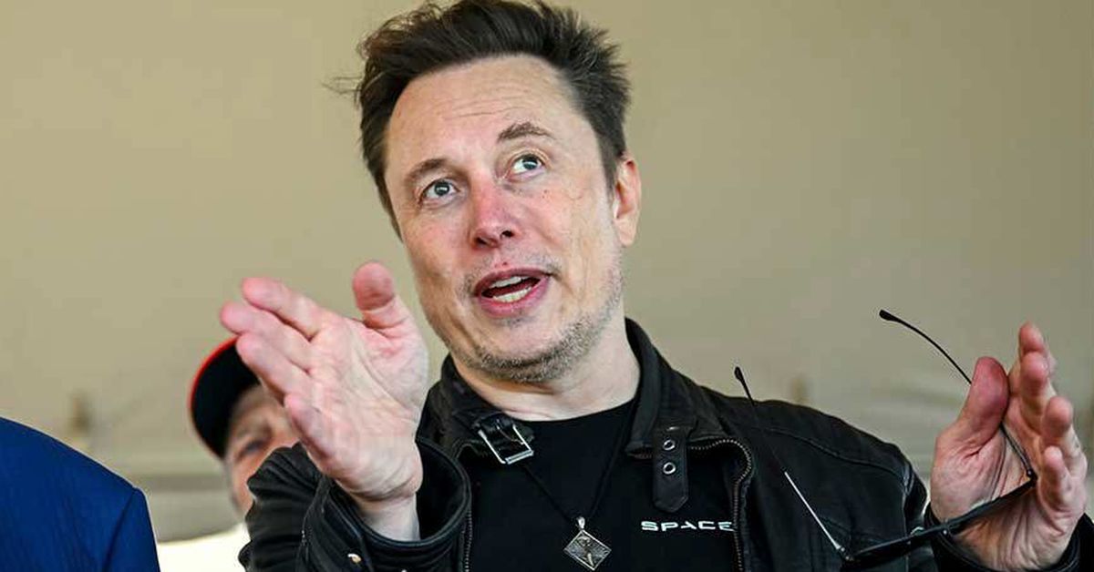 Elon Musk may buy US arm of TikTok from China: reports