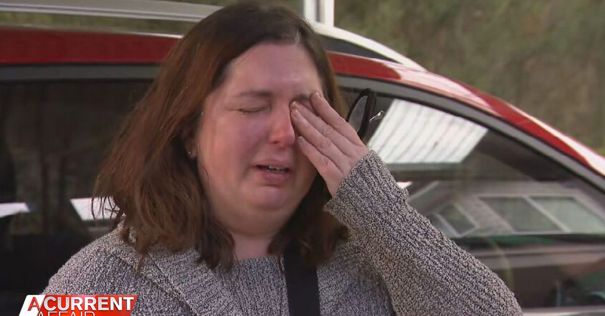 A Current Affair: Reporter Sam Cucchiara approaches Victoria mushroom ...